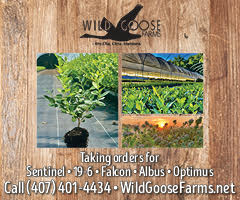 Florida Blueberry Growers Association